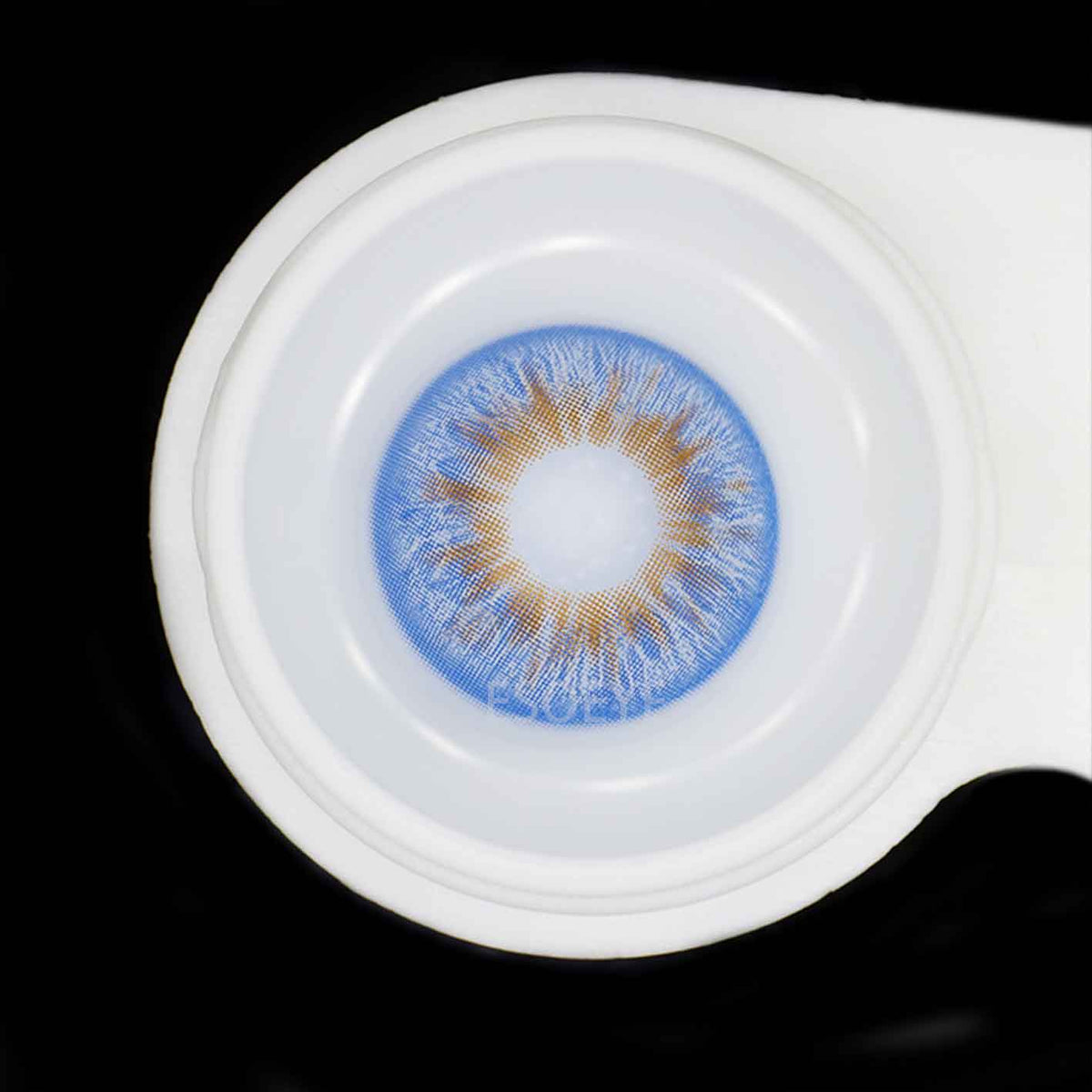 Wildness Peacock Blue Colored Contact Lenses Yearly – Esoeye